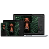 Adobe выпустил ARM версию Lightroom для Windows и macOS
